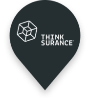 About Thinksurance